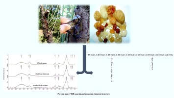 Persian gum: A comprehensive review on its physicochemical and ...