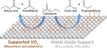 Influence of vanadate structure and support identity on catalytic ...