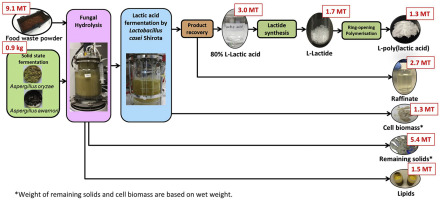 Techno-economic analysis of a food waste valorisation process for ...