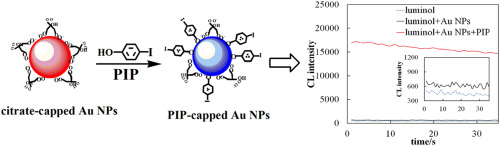 Enhancement effect of p-iodophenol on gold nanoparticle-catalyzed ...