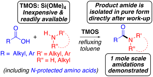 Tetramethyl Orthosilicate (TMOS) as a Reagent for Direct Amidation of ...