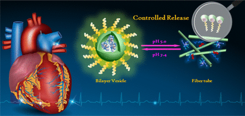 Design of pH-Responsive Polymer Monolith Based on Cyclodextrin Vesicle ...