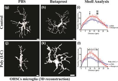 Activation of EP2 receptor suppresses poly(I: C) and LPS‐mediated ...