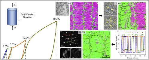 Detwinning process of martensite in Ni 58 Mn 25 Ga 17 as a high ...