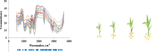 An efficient swarm intelligence approach to feature selection based on invasive weed ...