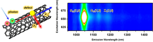 Defects Enable Dark Exciton Photoluminescence in Single-Walled Carbon ...