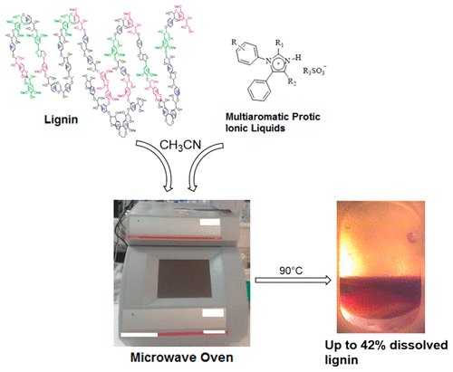 Understanding Microwave-Assisted Lignin Solubilization in Protic Ionic ...