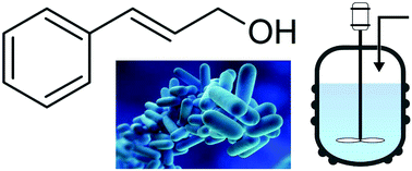 Bio-derived production of cinnamyl alcohol via a three step ...