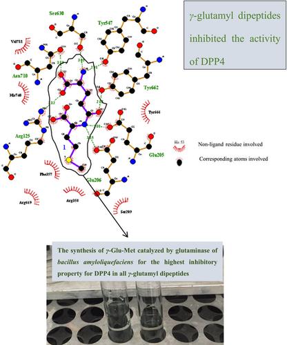 γ‐Glu‐Met synthesised using a bacterial glutaminase as a potential ...