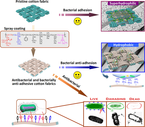 Durably Antibacterial and Bacterially Antiadhesive Cotton Fabrics Coated by Cationic Fluorinated ...