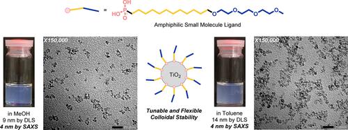 Understanding the Colloidal Stability of Nanoparticle–Ligand Complexes ...
