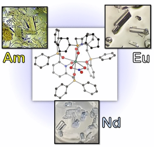 Crystallographic and Spectroscopic Characterization of Americium ...
