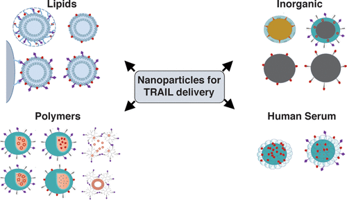 Nanoparticles for Immune Cytokine TRAIL-Based Cancer Therapy,ACS Nano ...