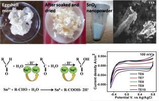 Bio-active synthesis of tin oxide nanoparticles using eggshell membrane ...