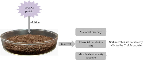 Soil incubation studies with Cry1Ac protein indicate no adverse effect ...