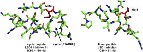赖氨酸特异性脱甲基酶1的环肽抑制剂具有更高的效力，可通过丙氨酸扫描诱变来鉴定,European Journal of Medicinal ...
