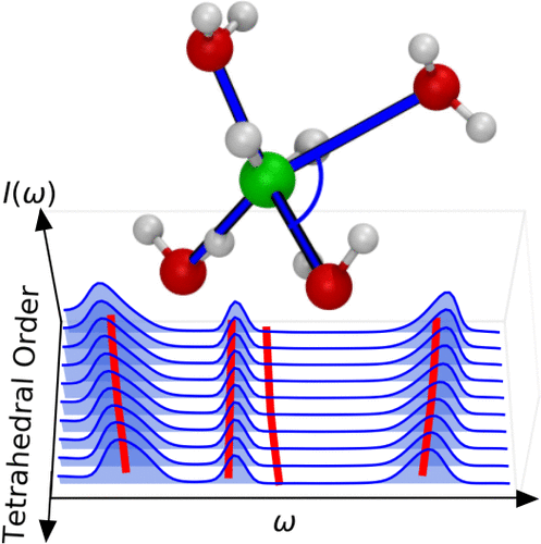 The Interplay of Structure and Dynamics in the Raman Spectrum of Liquid ...