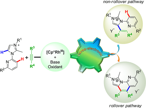 To “Rollover” or Not? Stereoelectronically Guided C–H Functionalization ...