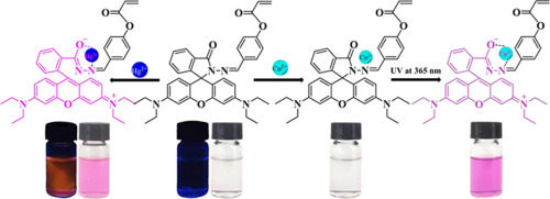 Selective and differential detection of Hg2+ and Cu2+ with use of a single rhodamine hydrazone ...