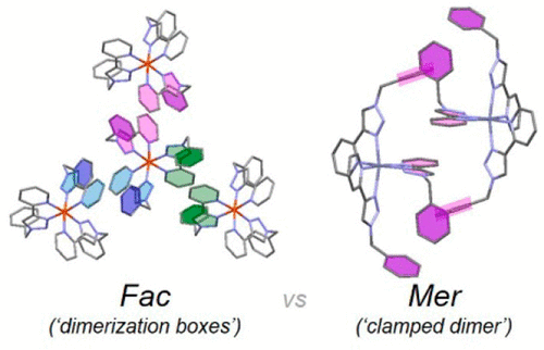 Fac vs Mer Selection in Octahedral Complexes of the N-Benzyl ...