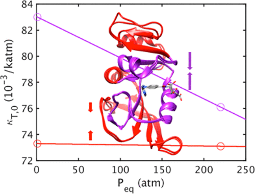 Quasiharmonic Analysis of the Energy Landscapes of Dihydrofolate ...