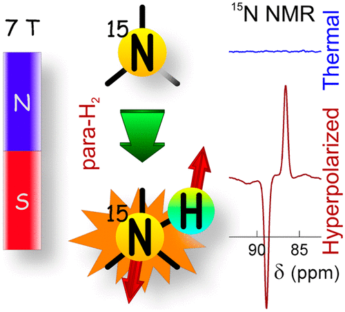 Spontaneous 15N Nuclear Spin Hyperpolarization in Metal-Free Activation ...
