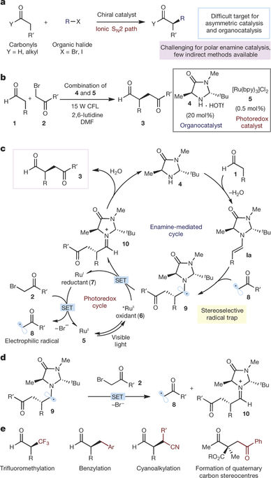 Enhancing the potential of enantioselective organocatalysis with light,Nature - X-MOL