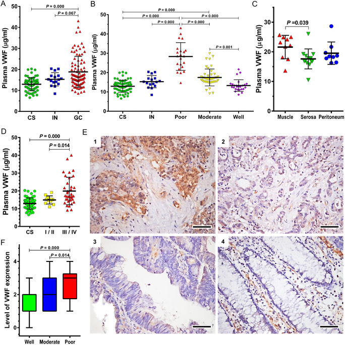 Cancer cell-derived von Willebrand factor enhanced metastasis of ...