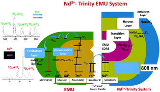808 nm excited energy migration upconversion nanoparticles driven by a ...
