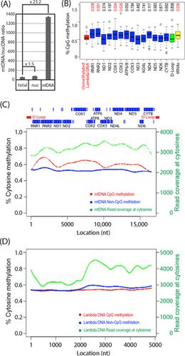 Technical adequacy of bisulfite sequencing and pyrosequencing for ...