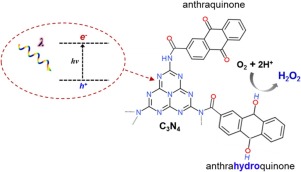 Photocatalytic hydrogen peroxide production by anthraquinone-augmented ...