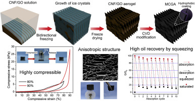 Highly compressible ultra-light anisotropic cellulose/graphene aerogel fabricated by ...