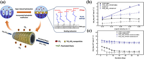 Development of Low Mass-Transfer-Resistance Fluorinated TiO 2 -SiO 2 ...