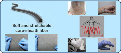 Highly Stretchable Core–Sheath Fibers via Wet-Spinning for Wearable ...