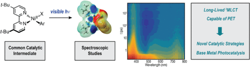 Long-Lived Charge Transfer States of Nickel(II) Aryl Halide Complexes ...