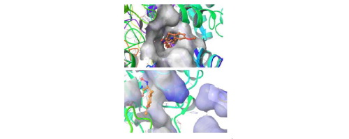 Development of benzoxazole deoxybenzoin oxime and acyloxylamine ...
