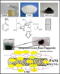 Preparation and Characterization of Green-nano-composite Material based ...