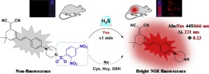 Highly selective near-infrared fluorescent probe with rapid response, remarkable large Stokes ...