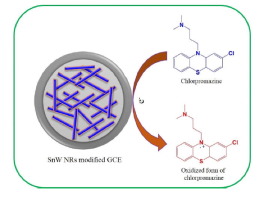 One-step sonochemical synthesis of 1D β-Stannous Tungstate Nanorods: An ...