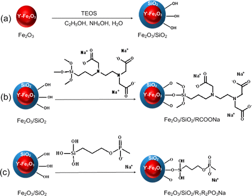 Functionalized Magnetic Silica Nanoparticles for Highly Efficient ...