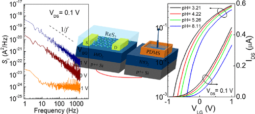 Low-Frequency Noise in Layered ReS2 Field Effect Transistors on HfO2 ...
