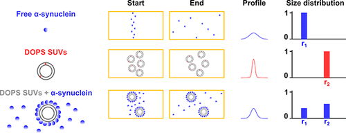 Microfluidic Diffusion Platform for Characterizing the Sizes of Lipid ...