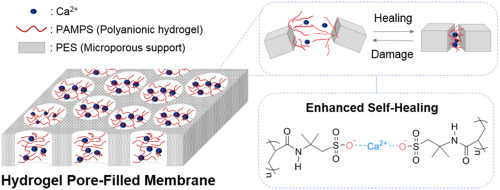 Improved Stability of Self-Healing Hydrogel Pore-Filled Membranes with ...