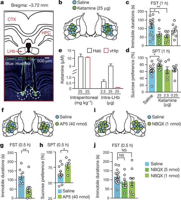 Ketamine blocks bursting in the lateral habenula to rapidly relieve ...