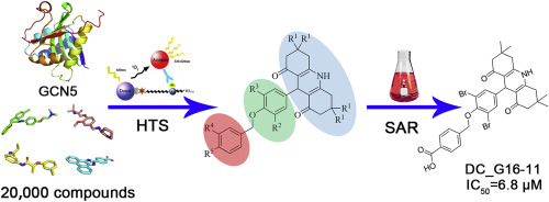 通过高通量筛选发现1,8-ac啶二酮衍生物作为新型GCN5抑制剂,European Journal of Medicinal ...