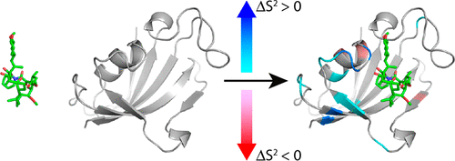 Conformational Entropy of FK506 Binding to FKBP12 Determined by Nuclear ...