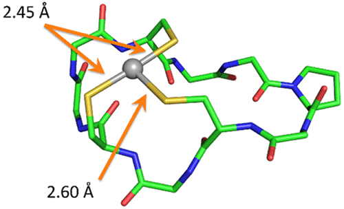 Mercury Trithiolate Binding (HgS3) to a de Novo Designed Cyclic ...