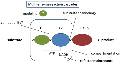 Multienzyme Cascade Reactions—Status and Recent Advances