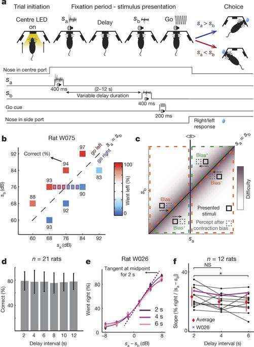 Posterior parietal cortex represents sensory history and mediates its ...