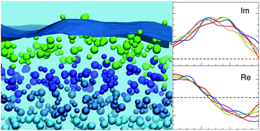 Structural definition of the BIL and DL: a new universal methodology to ...